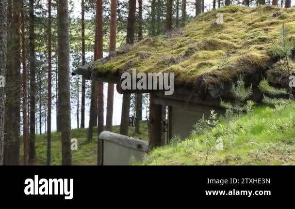 Log and turf roof Stock Videos & Footage - HD and 4K Video Clips - Alamy