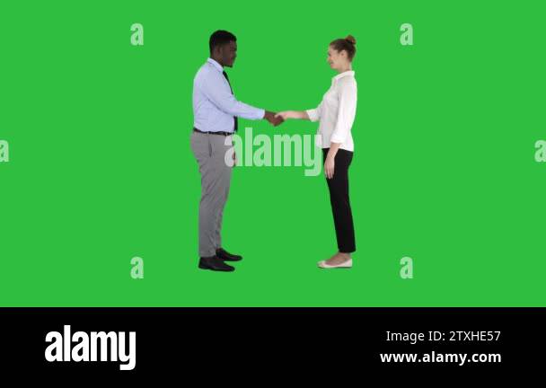 Handshake of business woman and business man posing for the picture on ...