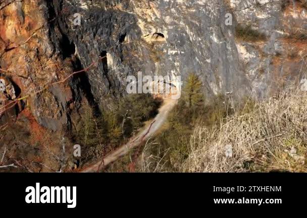 Surface quarry used for mining stone or other minerals. Large mine ...