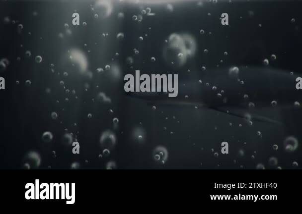 3d animation footage of shark underwater, seamless loop Stock Video ...