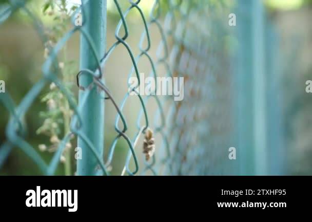 Preventing access Stock Videos & Footage - HD and 4K Video Clips - Alamy