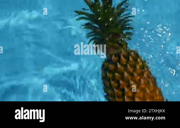 Pineapple Floating In blue Water In Swimming Pool. Healthy Raw Organic ...