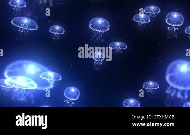 Jellyfish illuminated with color light in the underwater. Fluorescent ...