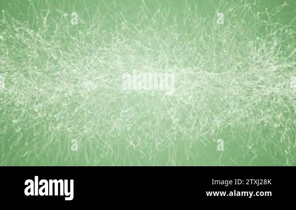 Abstract green background with animation of slow moving white particles ...