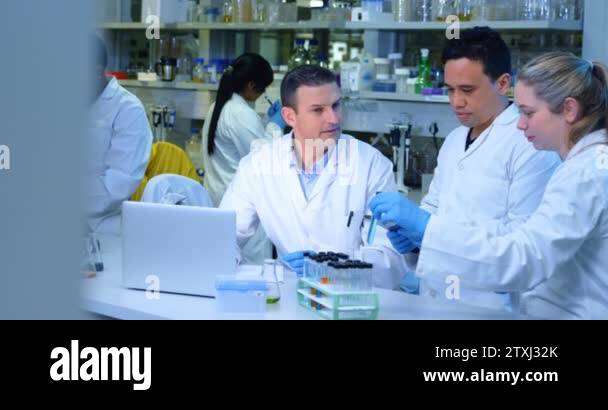 Team of scientists interacting with each other in laboratory 4k Stock ...