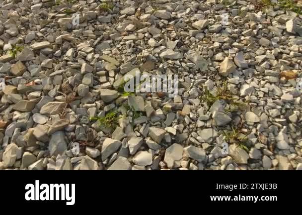 Rubble on the ground, texture background of rubble Stock Video Footage ...