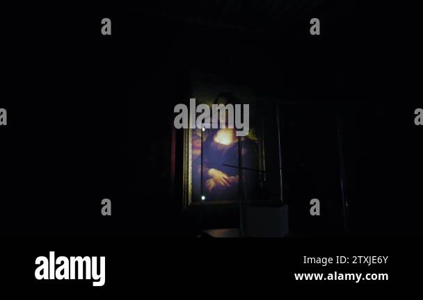 Famous da vinci art Stock Videos & Footage - HD and 4K Video Clips - Alamy