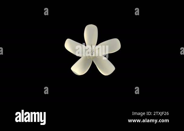 Flower layer Stock Videos & Footage - HD and 4K Video Clips - Alamy