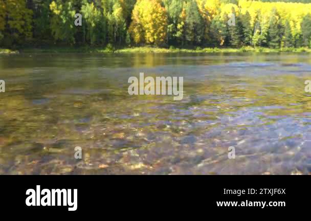Solar highlights at bottom of river. Close-up shot. River with clear ...
