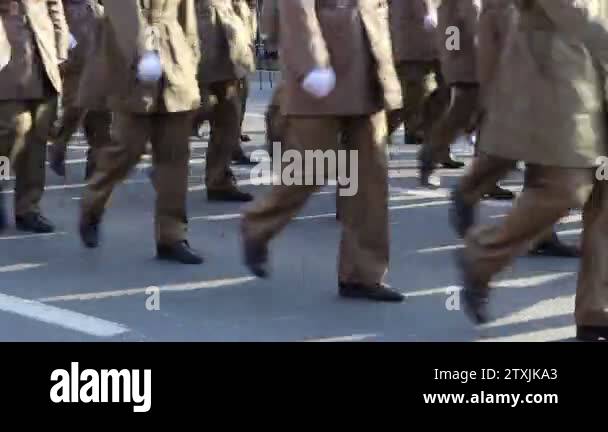 Army cadets line up Stock Videos & Footage - HD and 4K Video Clips - Alamy