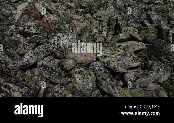 Do not throw stones Stock Videos & Footage - HD and 4K Video Clips - Alamy