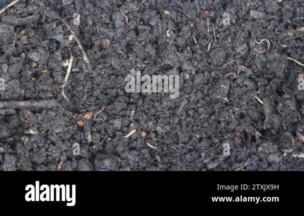 Humus Stock Videos & Footage - HD and 4K Video Clips - Alamy