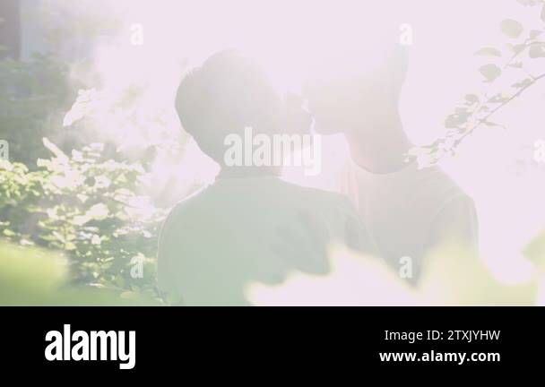 Two men kissing among trees lit by sunbeams, true love in gay couple ...