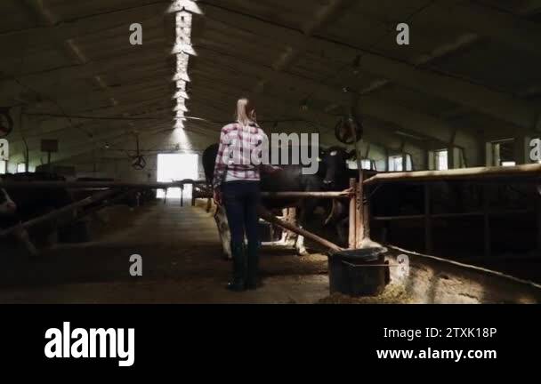 Farm girl in the barn Stock Video Footage - Alamy