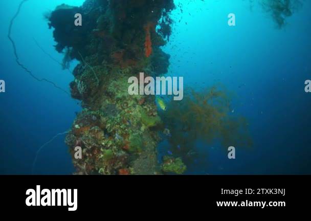 Ship wreck underwater shipwreck fish Stock Videos & Footage - HD and 4K ...