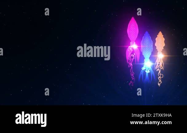 Squid illuminated with color light in the underwater. Fluorescent color ...