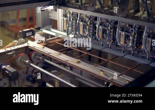 Filling plant cells Stock Videos & Footage - HD and 4K Video Clips - Alamy