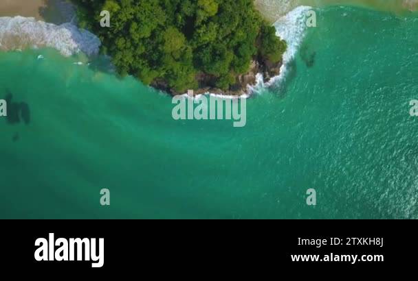 Caribbean frog Stock Videos & Footage - HD and 4K Video Clips - Alamy