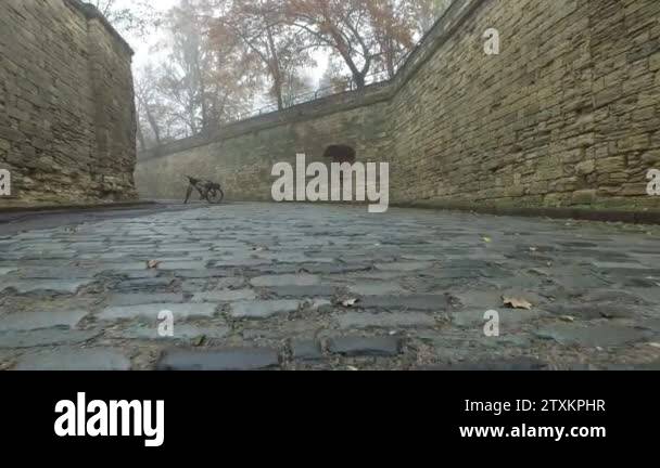 Shell bricks Stock Videos & Footage - HD and 4K Video Clips - Alamy