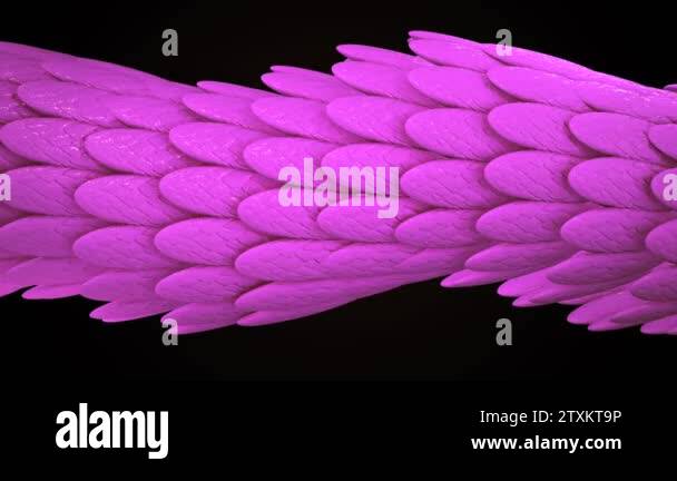 Animation of a crawling colored dragon on a black background. Animation ...