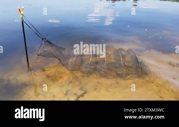 Drift netting Stock Videos & Footage - HD and 4K Video Clips - Alamy