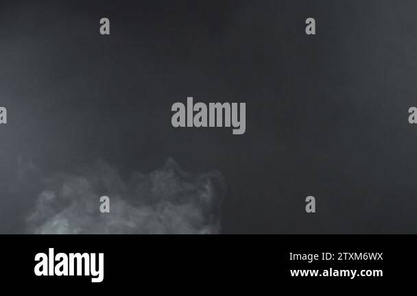 Texture white smoky mist 4k Stock Videos & Footage - HD and 4K Video ...
