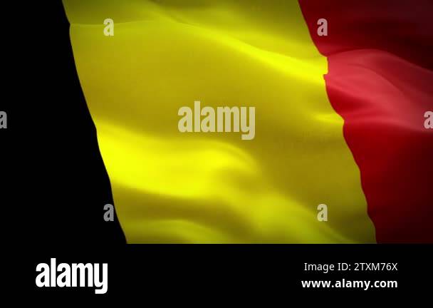 Belgium flag video waving in wind. Realistic Belgian Flag background ...