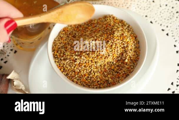 Honey bee full pollen Stock Videos & Footage - HD and 4K Video Clips ...