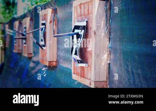 Throwing knives at the target from an open-air distance, a competition for throwing knives ...