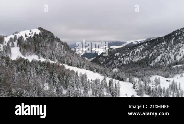 Forward aerial to snowy woods forest and hills.Cloudy bad overcast ...