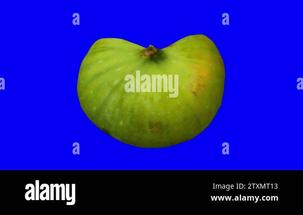 Fig figs inside cut fruit Stock Videos & Footage - HD and 4K Video ...