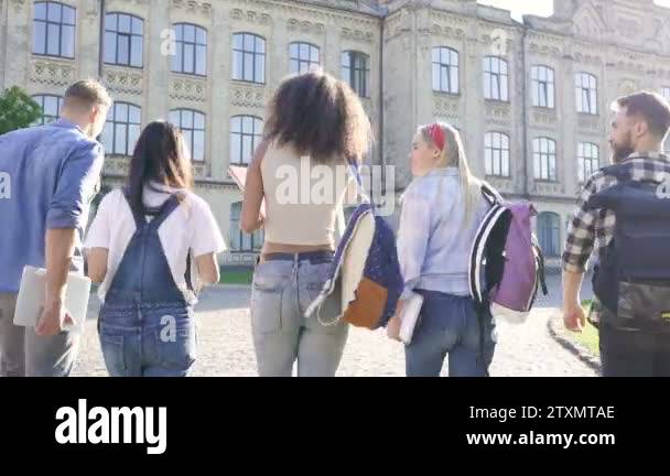 Back view group students Stock Videos & Footage - HD and 4K Video Clips ...