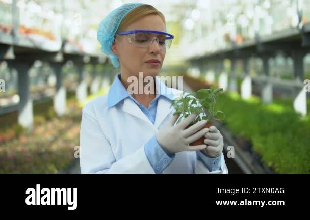 Plant diseases and pests Stock Videos & Footage - HD and 4K Video Clips ...