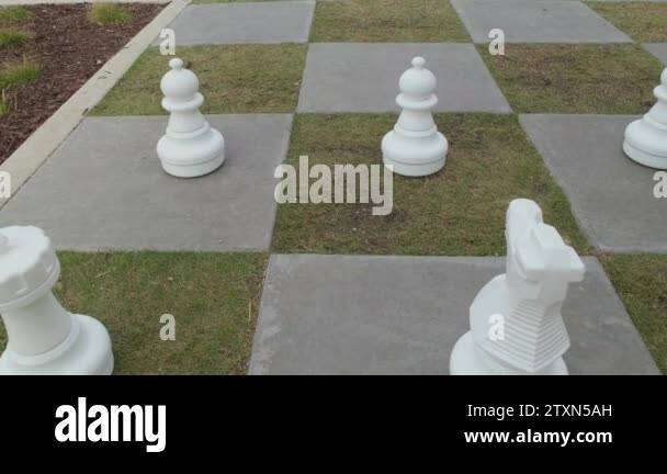 Large checkerboard Stock Videos & Footage - HD and 4K Video Clips - Alamy