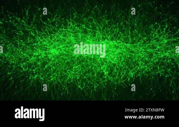 Abstract dark background with animation of slow moving green particles ...