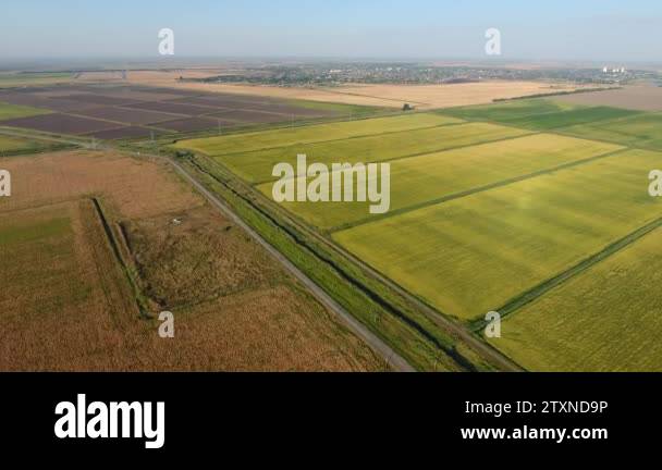 Flooded rice paddies. Agronomic methods of growing rice in the fields ...