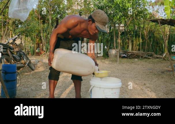 Toddy-tapper pouring harvested palm sap in a plastic bucket using a ...