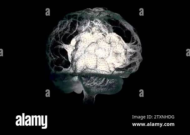 Human white brain on black, science anatomy background. The human brain ...