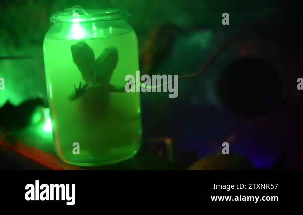 Two-headed lizard in a jar with formalin. Glowing green highlights in a ...