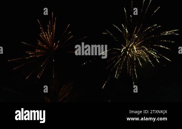 Colorful Fireworks Display on the Black Screen Background. Powerful ...