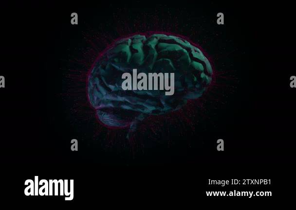 Digital brain. Artificial intelligence. Head X-ray. Rotating X-rays of ...