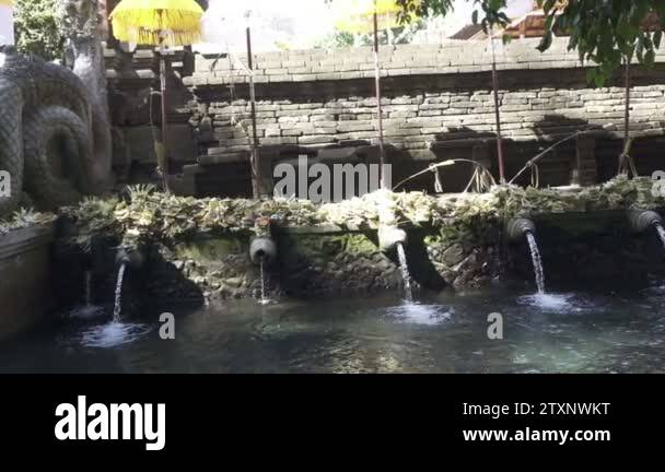 Balinese holy water spring Stock Videos & Footage - HD and 4K Video ...
