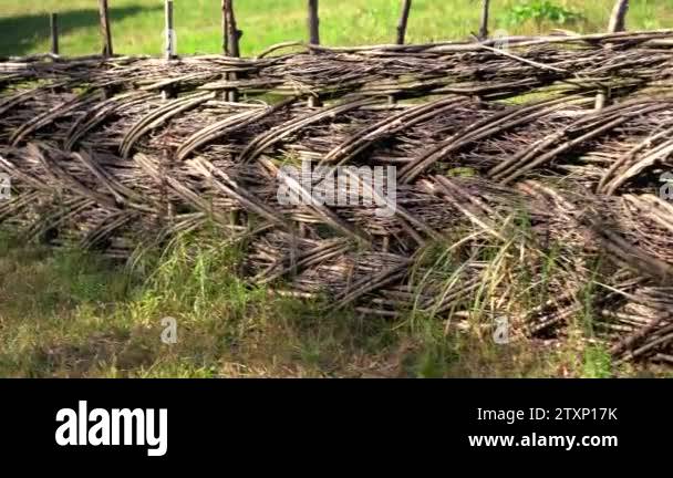 Interwoven fence Stock Videos & Footage - HD and 4K Video Clips - Alamy