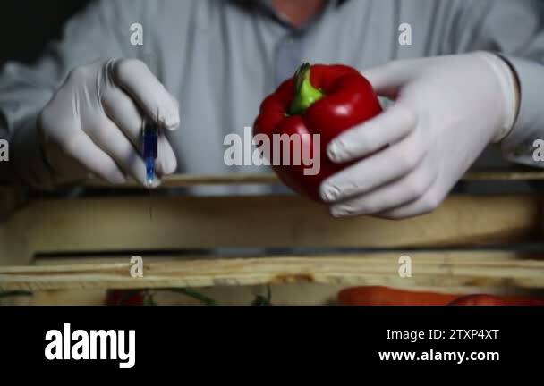 Chemical processing of vegetables, fertilizers and GMOs. A man injects ...