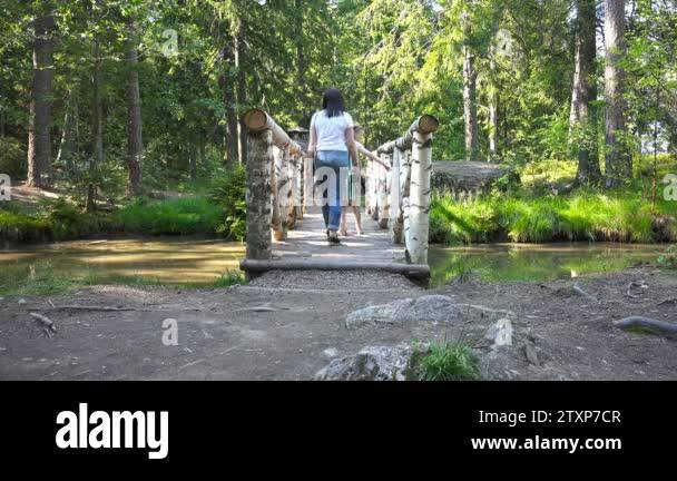 Birch bridge Stock Videos & Footage - HD and 4K Video Clips - Alamy