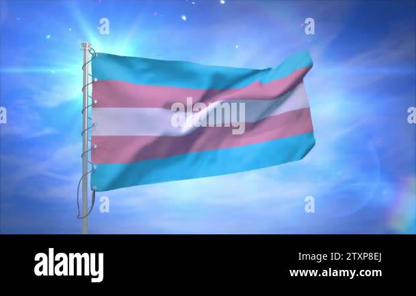 Transgender rights movement Stock Videos & Footage - HD and 4K Video ...