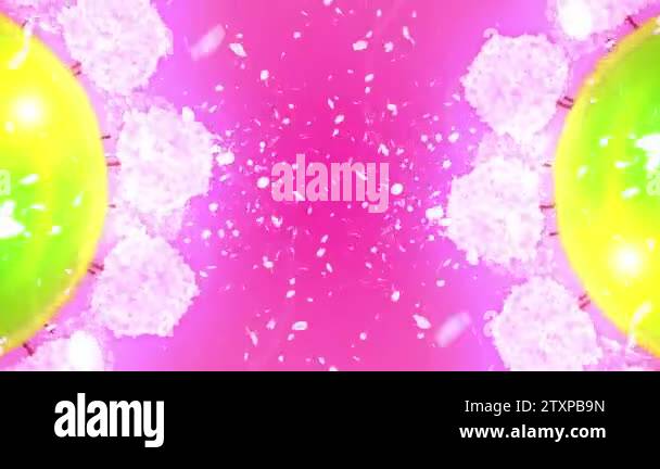 Cherry trees in full bloom on the hill. Cherry blossom circle ...