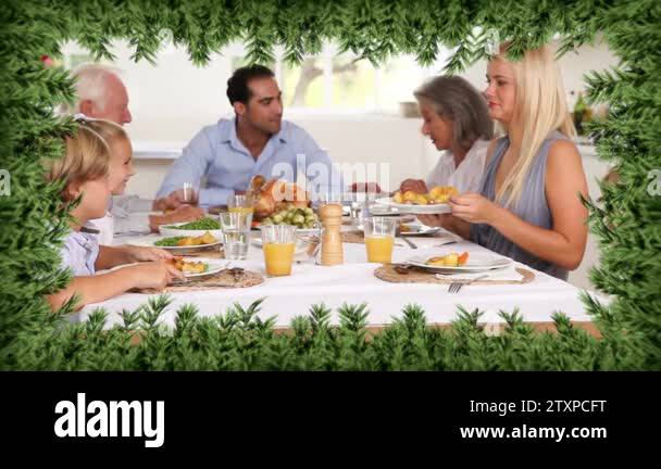 Composite family tree Stock Videos & Footage - HD and 4K Video Clips ...