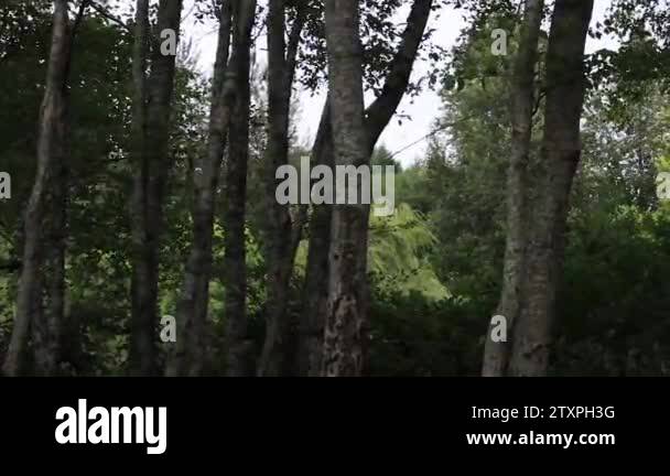 Aspin Stock Videos & Footage - HD and 4K Video Clips - Alamy