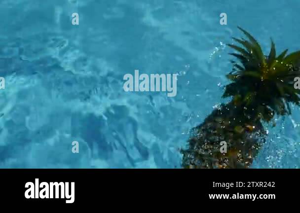 Pineapple Floating In blue Water In Swimming Pool. Healthy Raw Organic ...